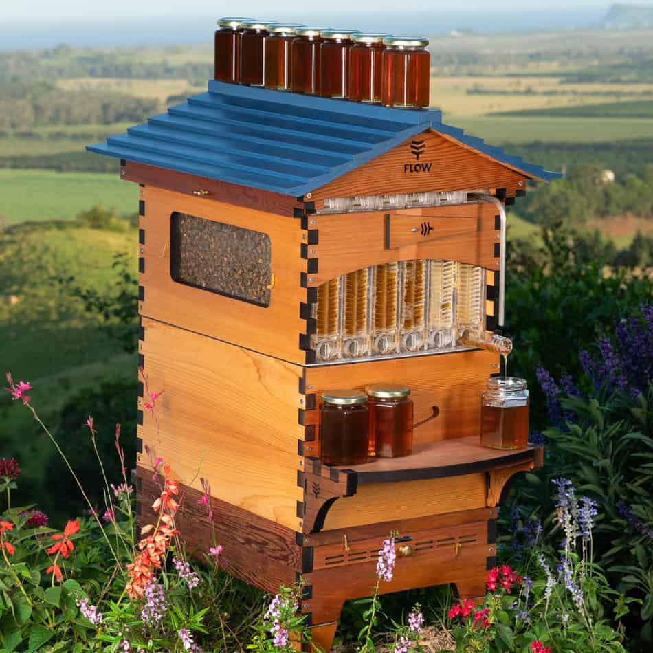 Is There a Best Wood For Beehives? Do The Bees Really Care? - Bee ...