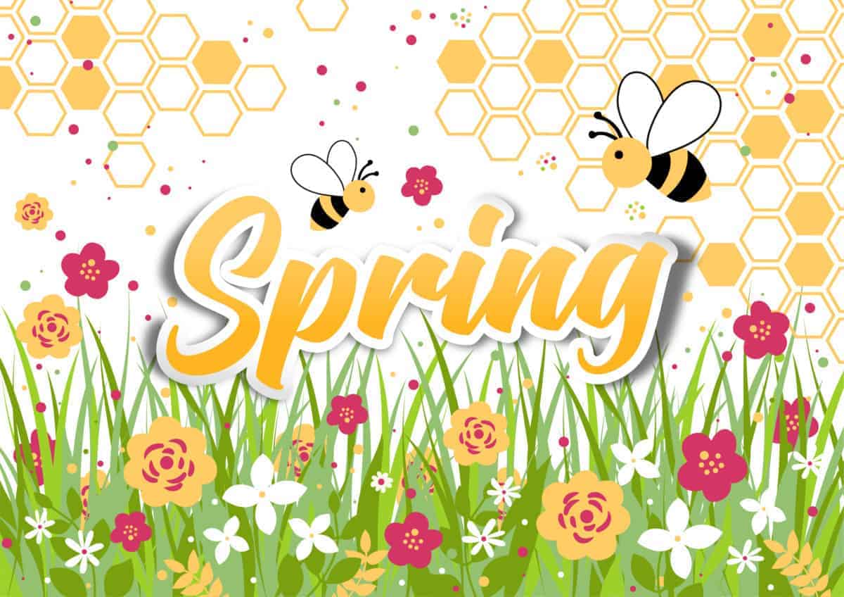 When is the Best Time of Year to Start a Beehive? Is It Too Late? - Bee ...